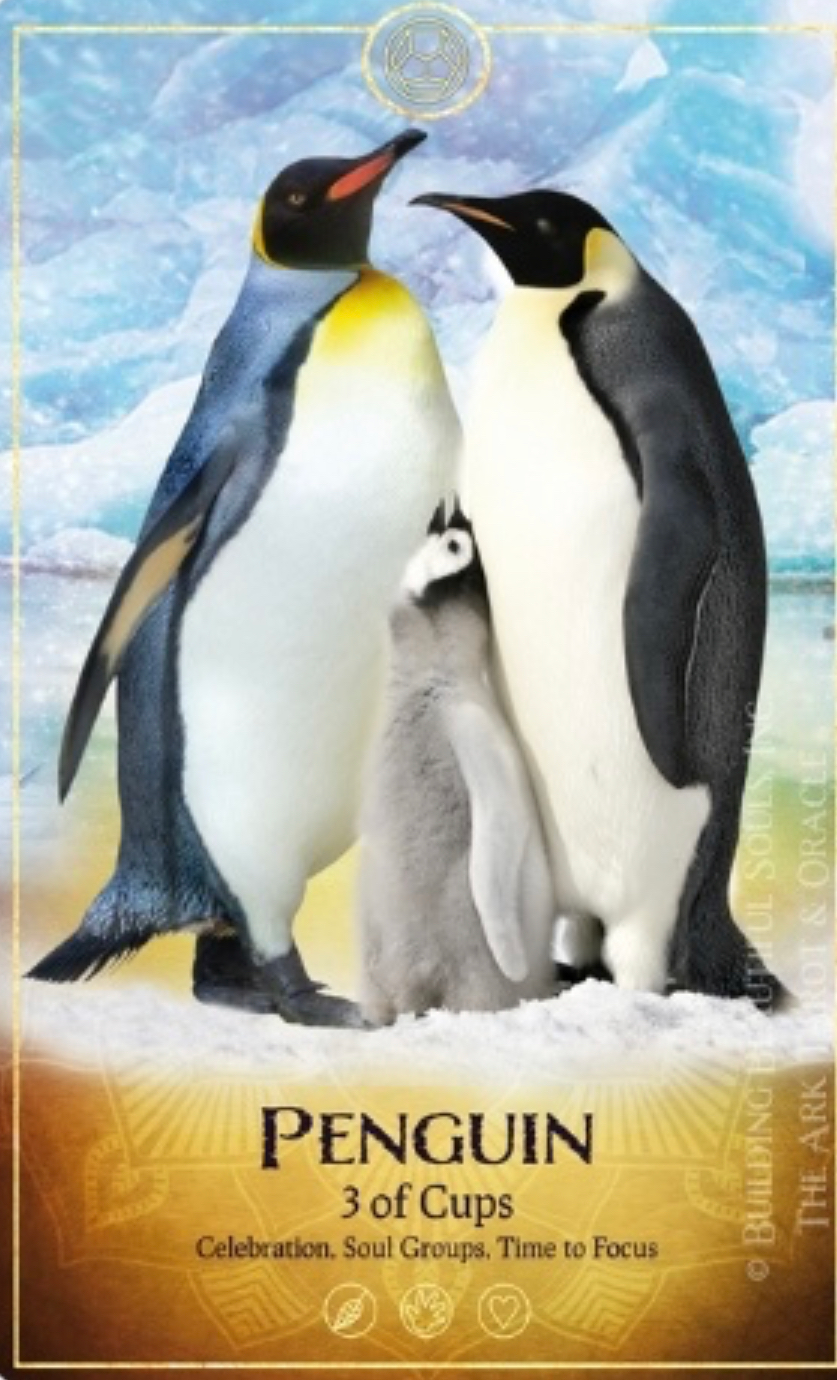 Animal Ally Message - Penguin (Three of Cups) - Mitchell Osborn