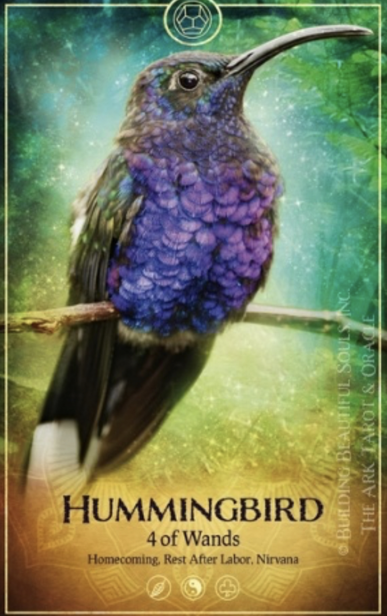 Animal Ally Message - Hummingbird (Four of Wands) - Mitchell Osborn